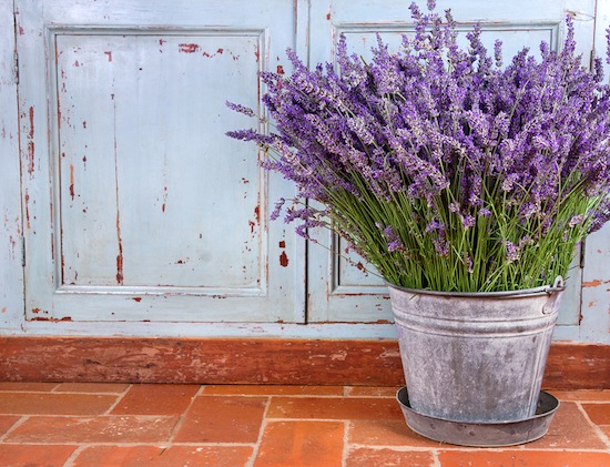 Bydlení ve stylu Provence | MOJE Bydlení