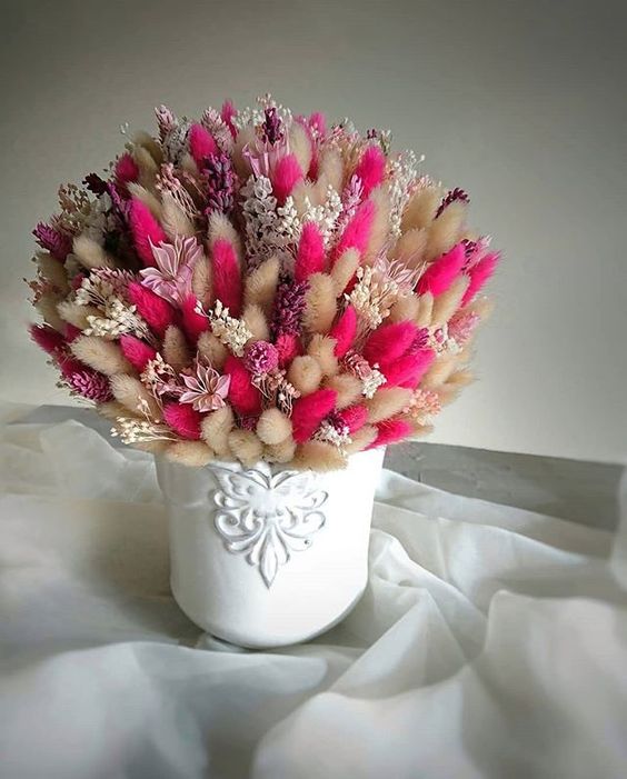 kytka | MOJE Bydlení